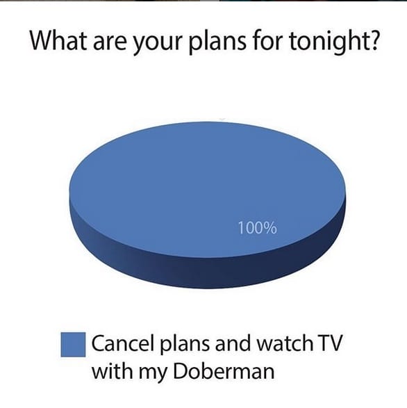 The 14 Funniest Memes That You Must Show to Your Friends Who Own ...