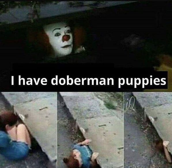 14 Funny Doberman Memes That Will Make You Smile! - Page 2 of 3 - PetPress