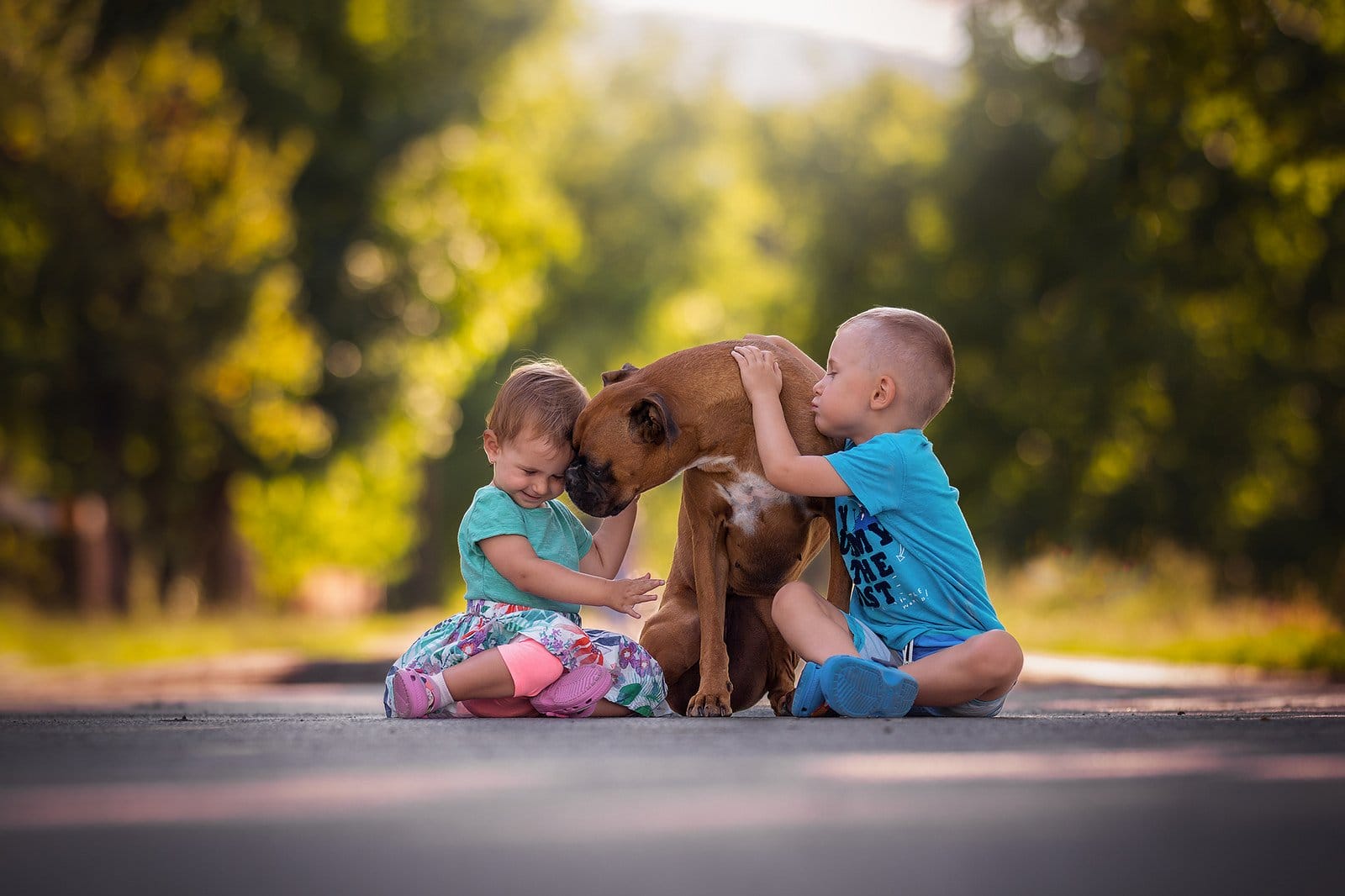 14 Reasons To Adore And Love Boxer Dogs - PetPress