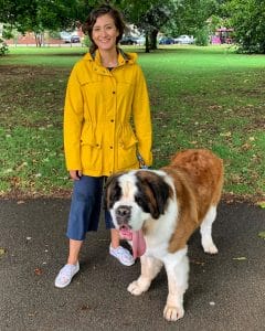 14 Facts About Massive And Huge Saint Bernards - PetPress