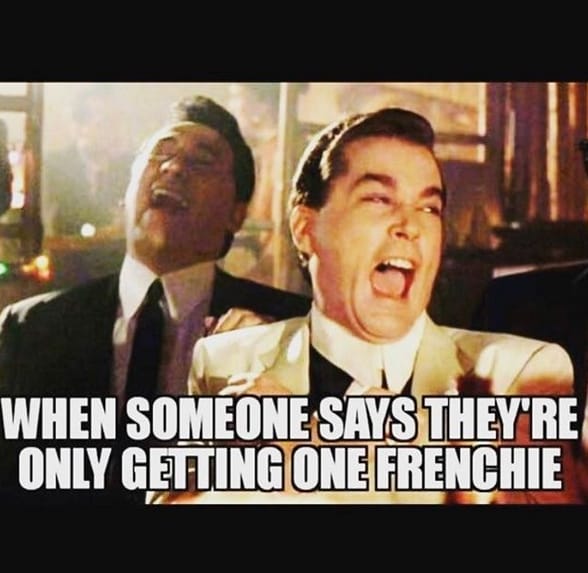 14 French Bulldog Memes That Will Make Your Day! - PetPress