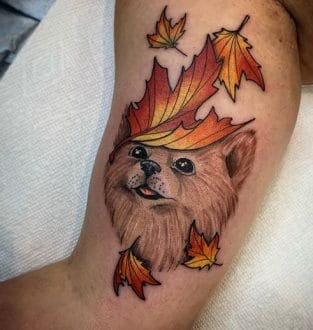14 Amazing Pomeranian Tattoo Ideas For Every Taste - PetPress