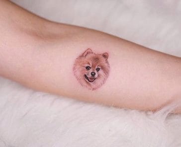 14 Awesome Tattoo Ideas For Pomeranian Owners - PetPress