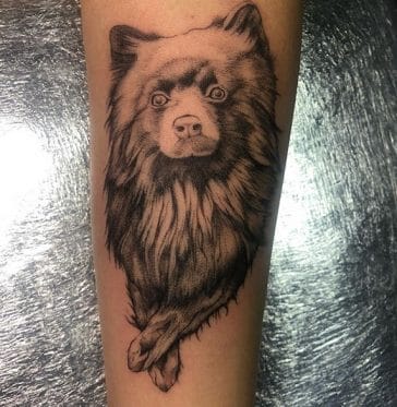 14 Awesome Tattoo Ideas For Pomeranian Owners - PetPress