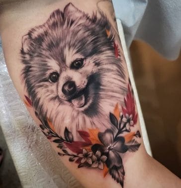 14 Awesome Tattoo Ideas For Pomeranian Owners - PetPress