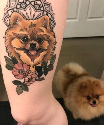 14 Of The Best Pomeranian Tattoo Ideas Ever - PetPress