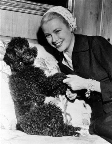 20 Beautiful Photos Of Celebrities With Poodles - PetPress