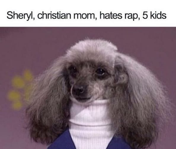 14 Funny Poodle Memes That Will Make Your Day! - Page 2 of 3 - PetPress