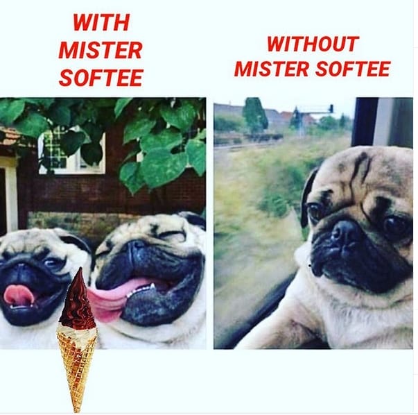 The 14 Funniest Pug Memes Ever! - Page 2 of 3 - PetPress