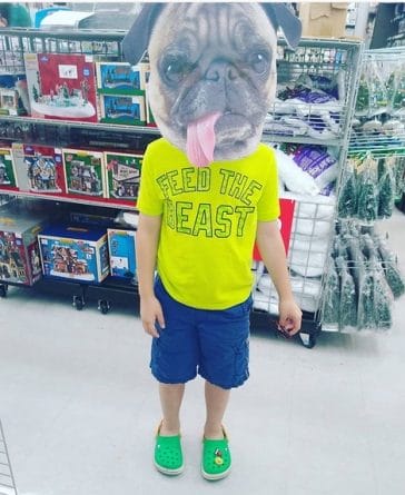 14 Pug Memes That Will Make You Cry Laughing! - PetPress