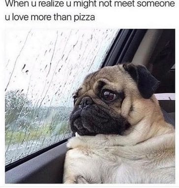 14 Funny Memes You Must Send to Your Friends Who Own Pugs - PetPress