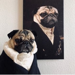 17 Fascinating Pictures Of Fashionable Pugs - PetPress