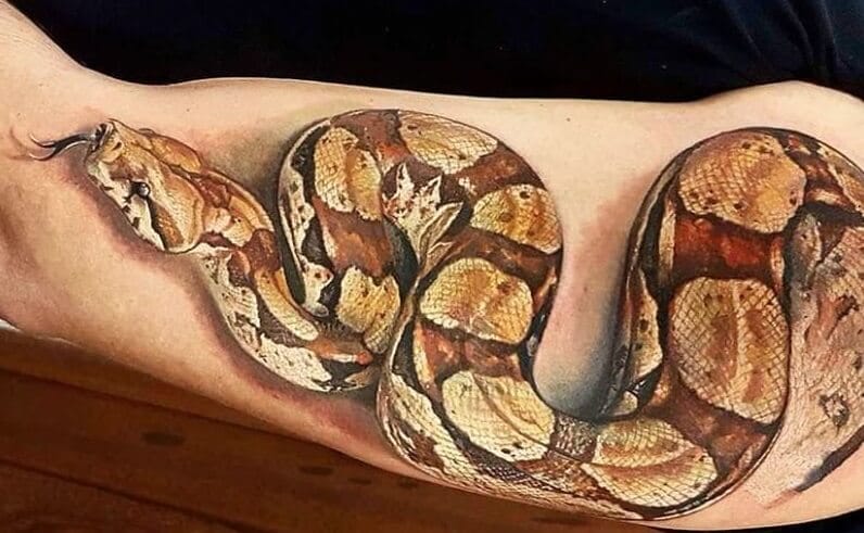 33 Coolest Python Tattoo Designs - PetPress