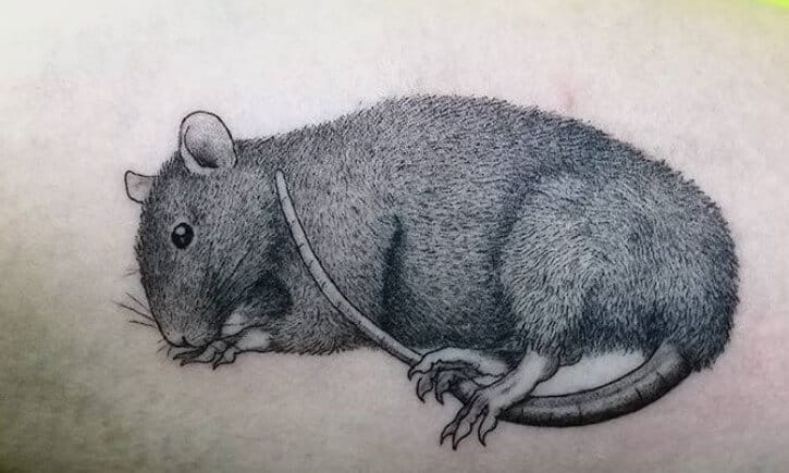 Top 50 Rat Tattoo Design Ideas - PetPress