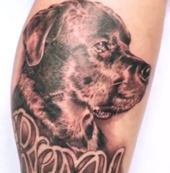 15 Gorgeous Tattoos Showing That Rottweilers Are Fearless Dogs - PetPress