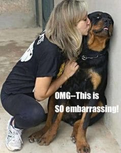 The 14 Funniest Rottweiler Memes of the Day! - PetPress