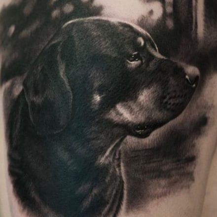 14 Incredibly Realistic Rottweiler Tattoos For Breed Lovers - PetPress
