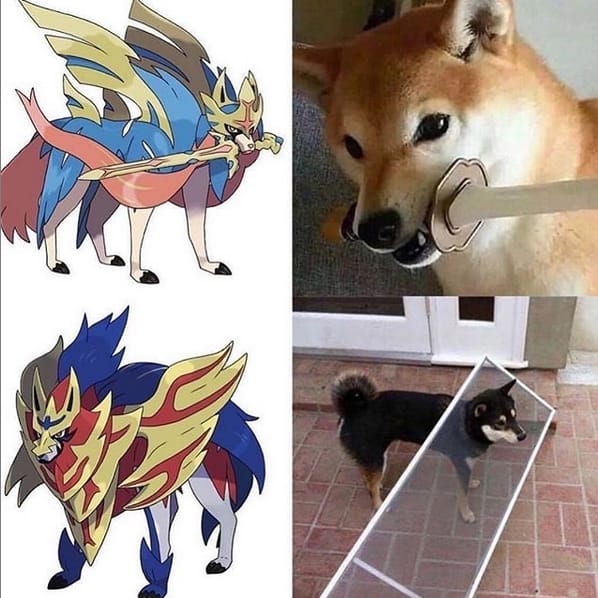 14 Funny Shiba Inu Memes That Will Make You Smile - Page 2 of 3 - PetPress