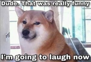14 Funny Shiba Inu Memes That Will Make You Smile - PetPress