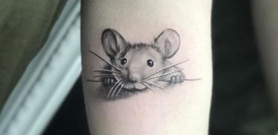 50+ Coolest Mouse Tattoo Ideas - PetPress