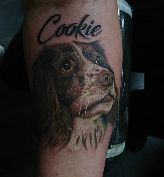 14 Amazing Tattoo Designs For Springer Spaniel Lovers - PetPress