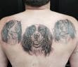 14 Amazing Tattoo Designs For Springer Spaniel Lovers - PetPress