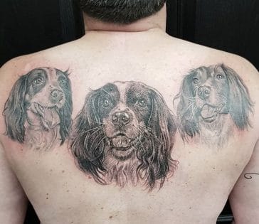 14 Amazing Tattoo Designs For Springer Spaniel Lovers - PetPress