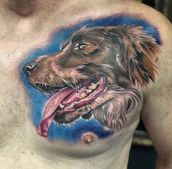 14 Amazing Tattoo Designs For Springer Spaniel Lovers - PetPress