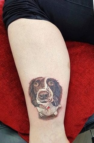 14 Amazing Tattoo Designs For Springer Spaniel Lovers - Page 2 of 3 ...
