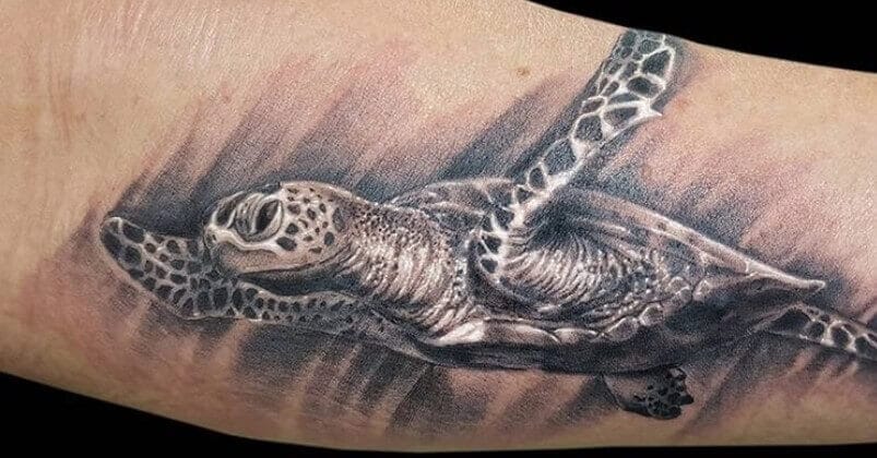 Top 60 Best Turtle Tattoo Designs - PetPress