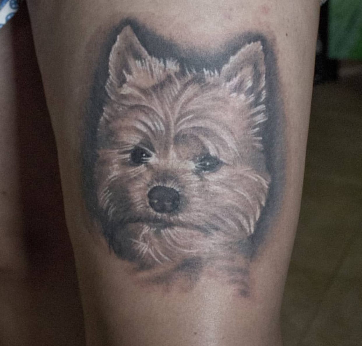 15 Creative Tattoo Ideas For Yorkshire Terriers - PetPress
