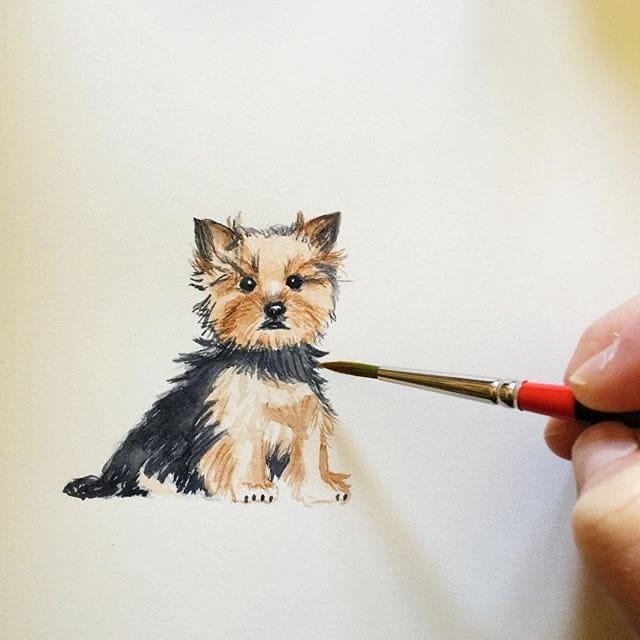 The 15 Most Realistic Yorkie Paintings - PetPress