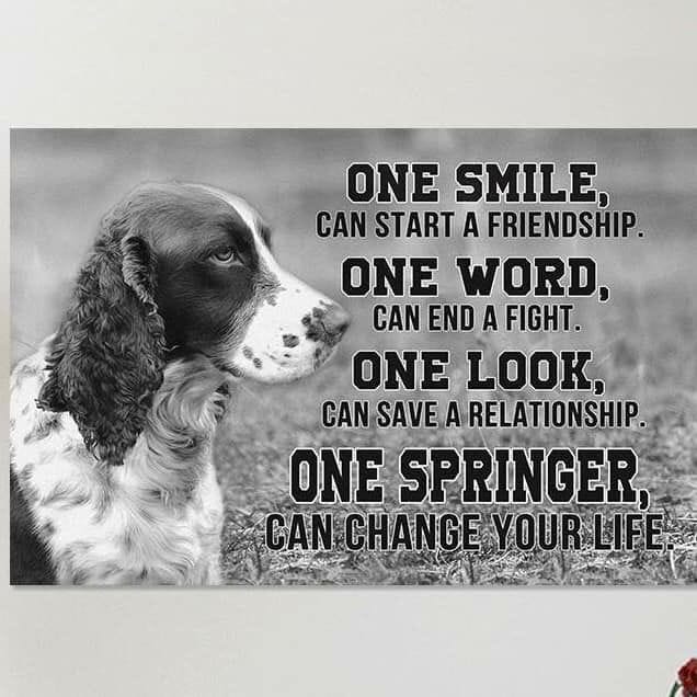 14 Funny Springer Spaniel Memes - Page 2 of 3 - PetPress