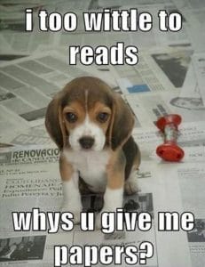 14 Funny Beagle Memes To Make Your Day - Page 2 of 3 - PetPress