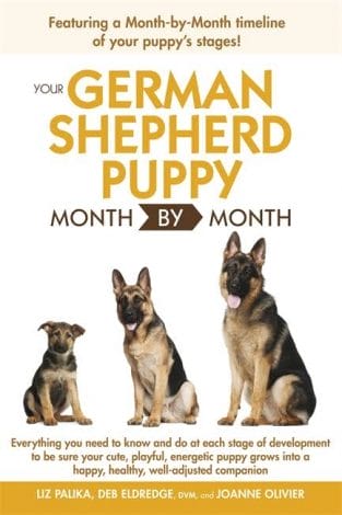 14 Books That Every German Shepherd Owner Must Read! - PetPress