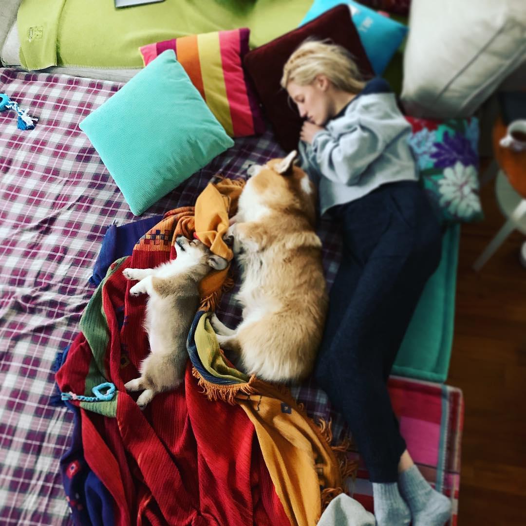 15 Corgis Who Are Happy That the Weekend Finally Started - PetPress