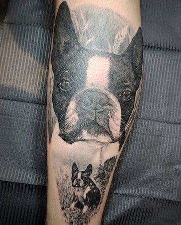 The 14 Most Realistic Boston Terrier Tattoos of 2019 - PetPress