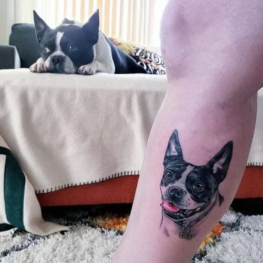 The 14 Most Realistic Boston Terrier Tattoos of 2019 - PetPress