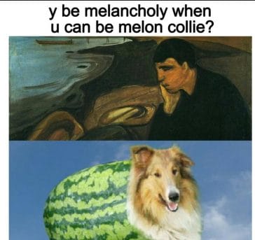 15 Funny Collie Memes That Will Make You Smile! - Page 2 of 3 - PetPress