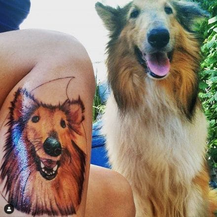 The 14 Most Realistic Dog Tattoos For Collie Owners - PetPress