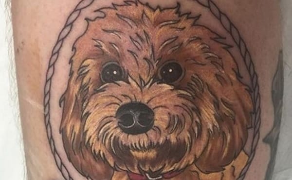 The 14 Best Dog Tattoo Ideas For Labradoodle Lovers - PetPress