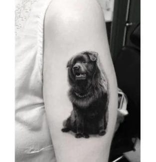 The 14 Best Dog Tattoo Ideas for Newfoundland Owners - PetPress