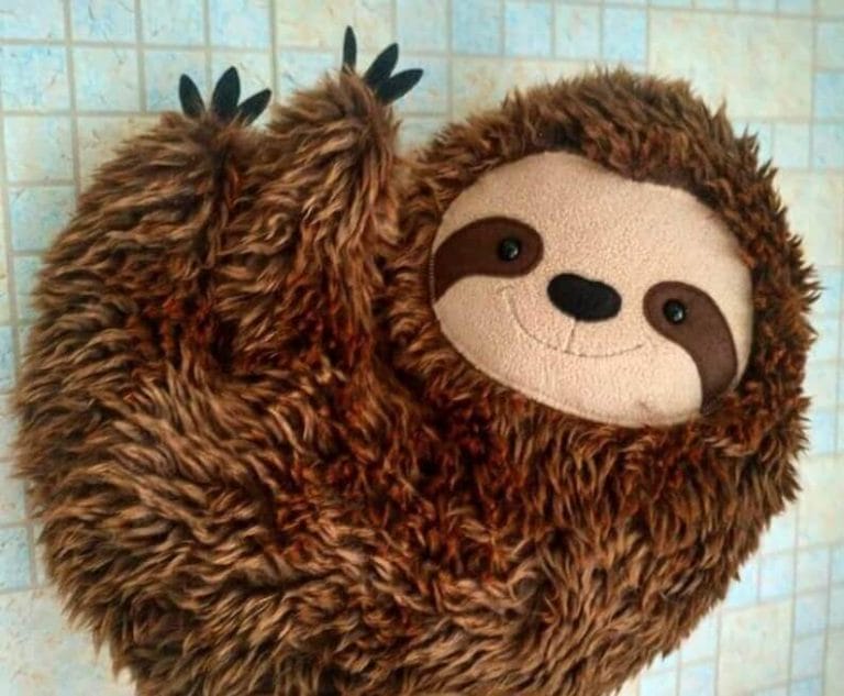 200+ Pet Sloth Names (Cute, Funny, Male, and Female Names)