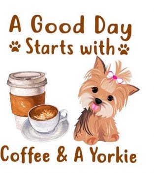 14 Funny Dog Memes That You Must Show to Your Friends Who Own Yorkies ...