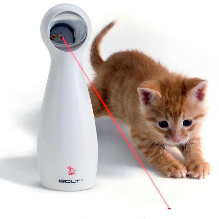 15 Smart Home Gadgets That Help Your Cat Live - PetPress