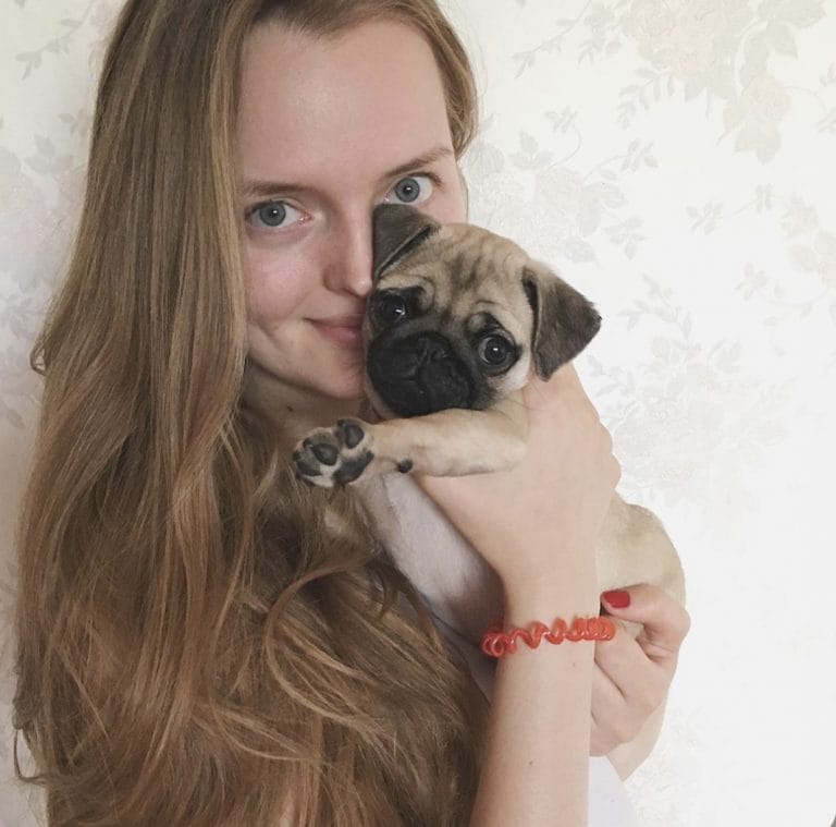 14 Photos That Proving Pugs are the Cutest Dogs in the World - Page 2 ...