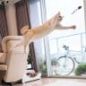 15 Evidence That Chaco the Cat From Japan Is Dancing Better Than You ...