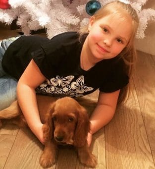 14 Cocker Spaniels Who Make Perfect Friendship with Children - PetPress