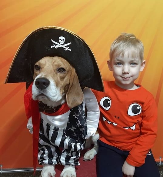 Top 55 Pirate Dog Names That Will Inspire You - PetPress