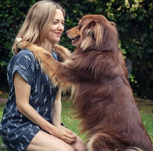 Top 70+ Cute Dog Names Inspired by Celebrities - PetPress